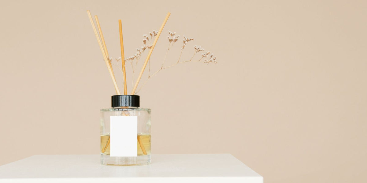 Curious About Reed Diffuser Sticks? Here’s the Science Behind Them ...